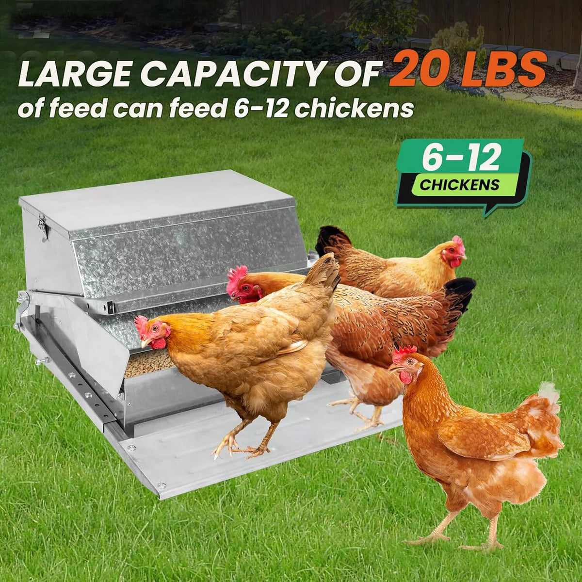 Automatic Chicken Treadle Feeder Galvanized Steel 6-12 Poultry Feeder ...