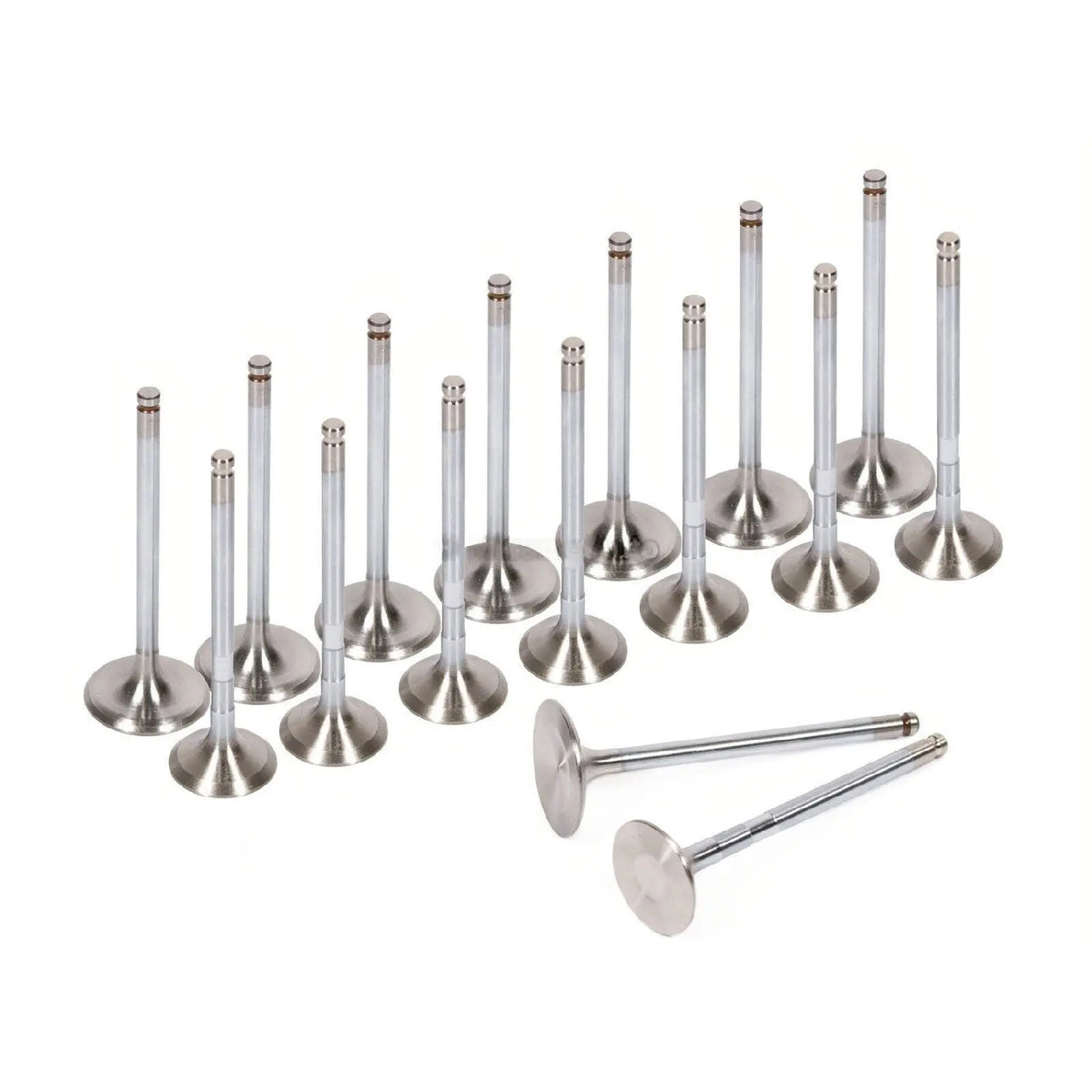 Intake Exhaust Valves Fit 00-06 Toyota Corolla Matrix Celica GTS 1.8 2 ...